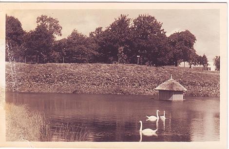 Artiklid arheoloogiast ja ajaloost: Kui vallikraavis elasid luiged