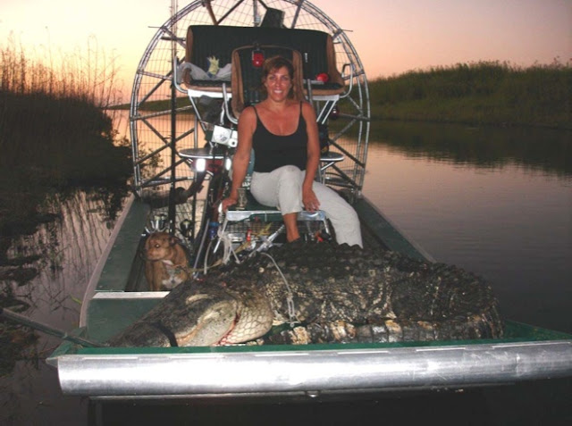 Love Olde Florida: It's alligator hunting season