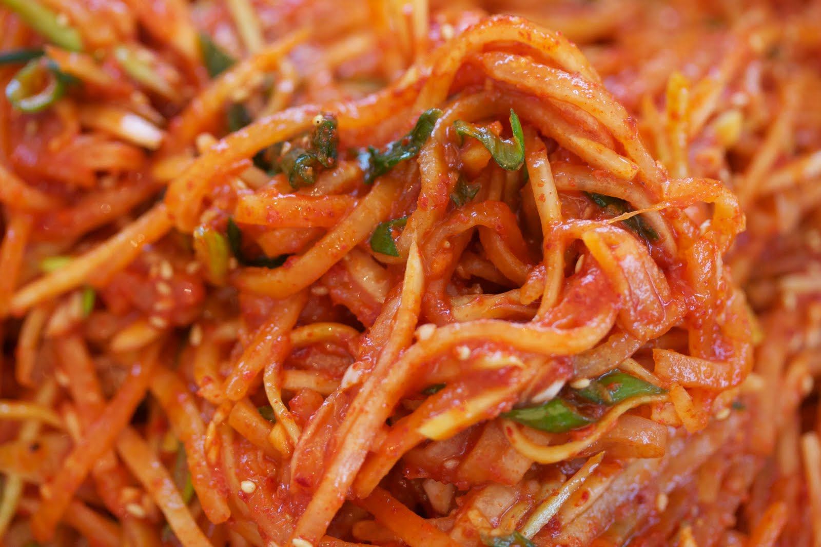 busychopsticks: January 2011