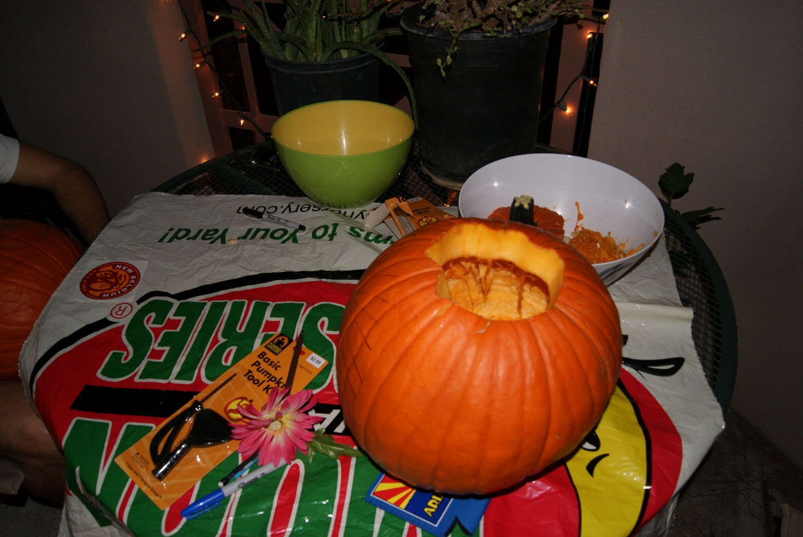 The Dewey Tribe: {Pumpkins}