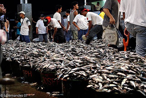 Newly Blogger: Pangisdaan Festival