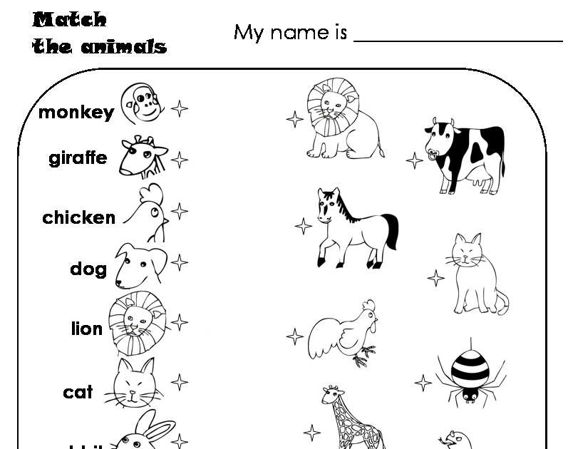 ANGLIČTINA: Zvířátka - spojovačka