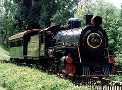 Bosque Popular el Prado: Breve Reseña