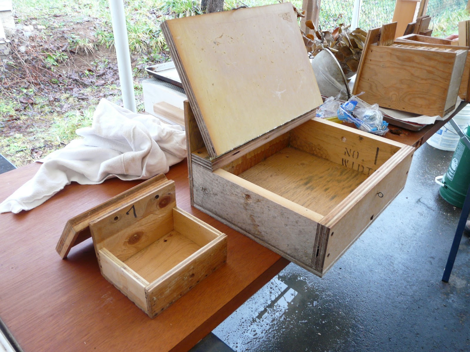 Beediverse.com: Setting out summer mason bee cocoons in a release box