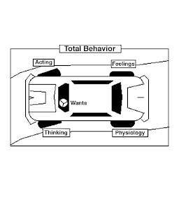 The Land of Bob: RT - feelings and choice theory