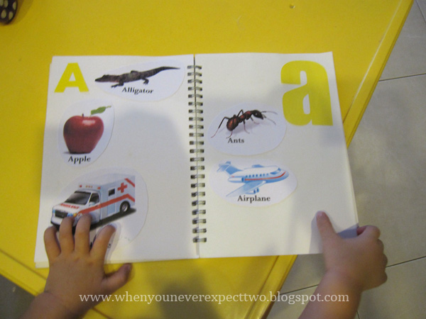 When You Never Expect Two: Homemade ABC Book