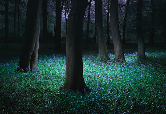 TratoHecho.com: Los espacios revelación de Tim Simmons