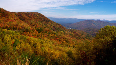 Living Above the Frost Line: The Nantahala National Forest in the ...