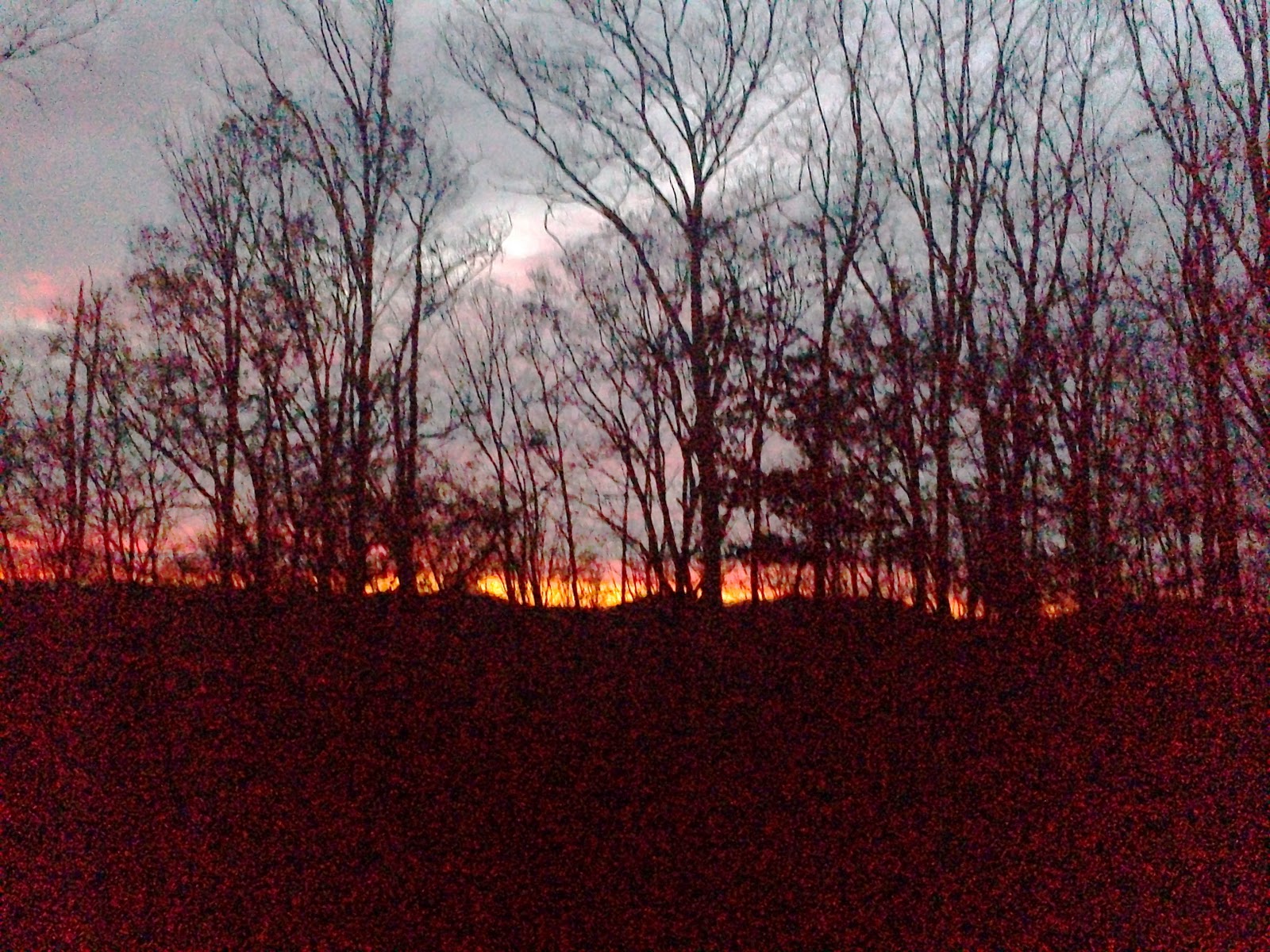 Living Above the Frost Line: SUNSET NOVEMBER 26, 2010 IN THE SOUTHERN ...