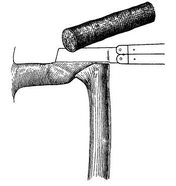 Naquem.: Operation Tuli, The Rite of Summer