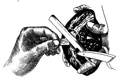 Naquem.: Operation Tuli, The Rite of Summer