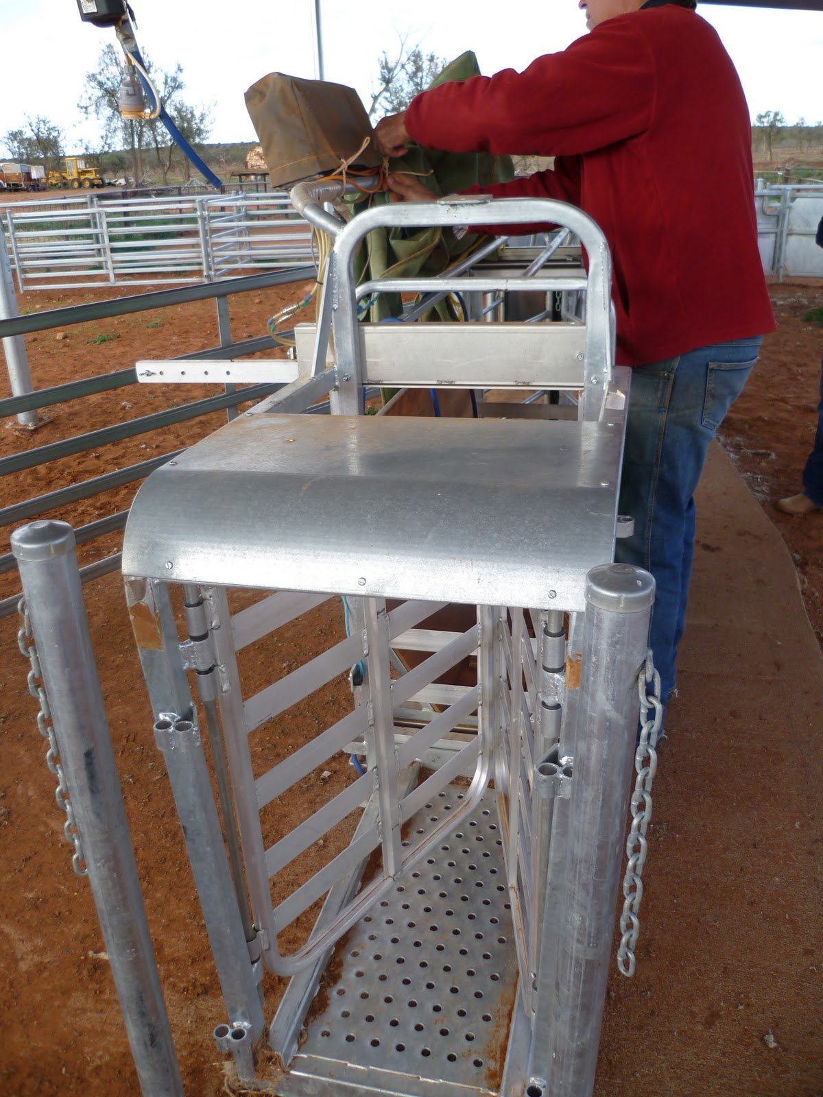 The Farming Ladder - Can we build it? Yes we can!: The Ghost of ...