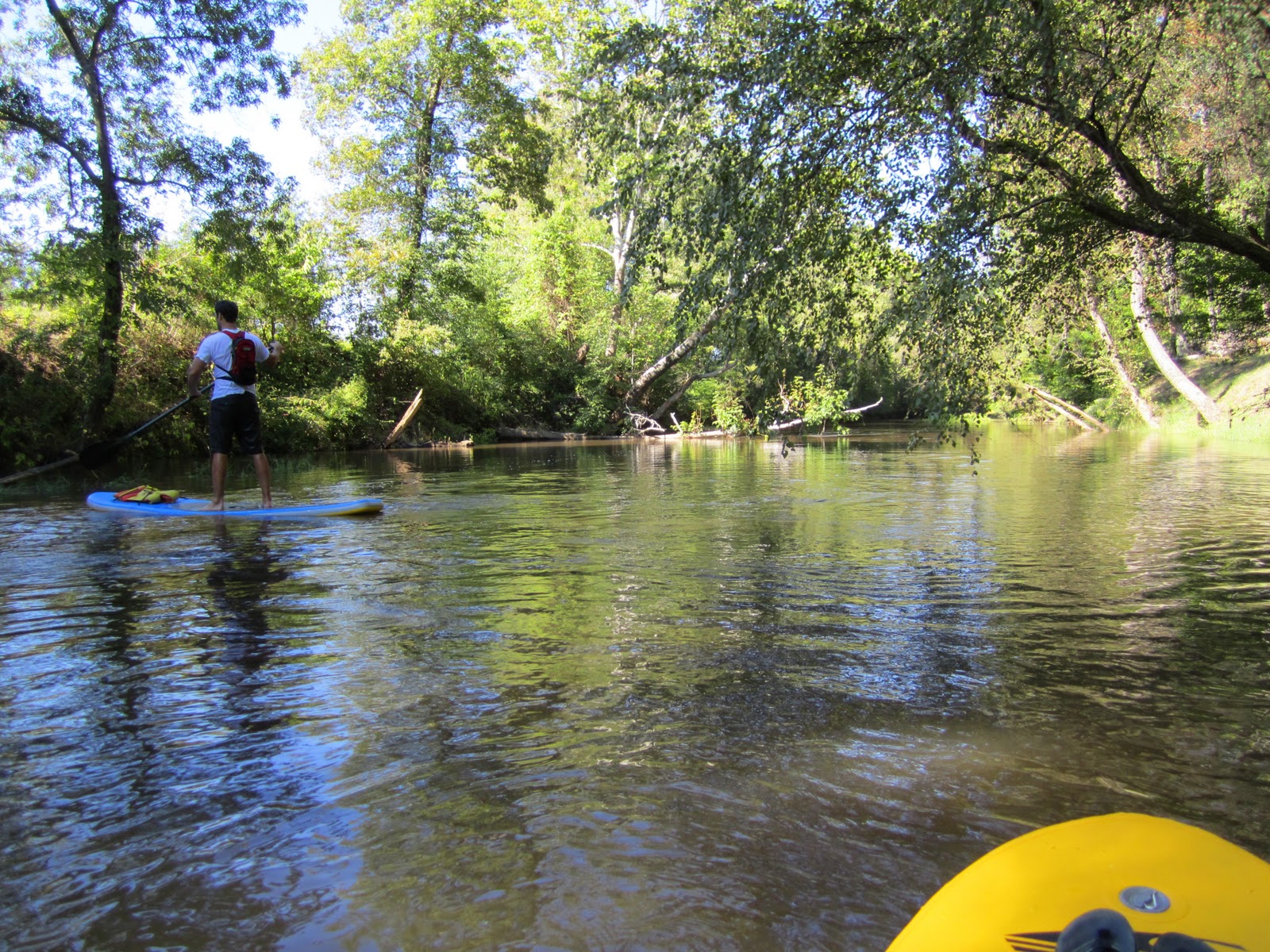 SUP Virginia: SUP South Anna River, Va