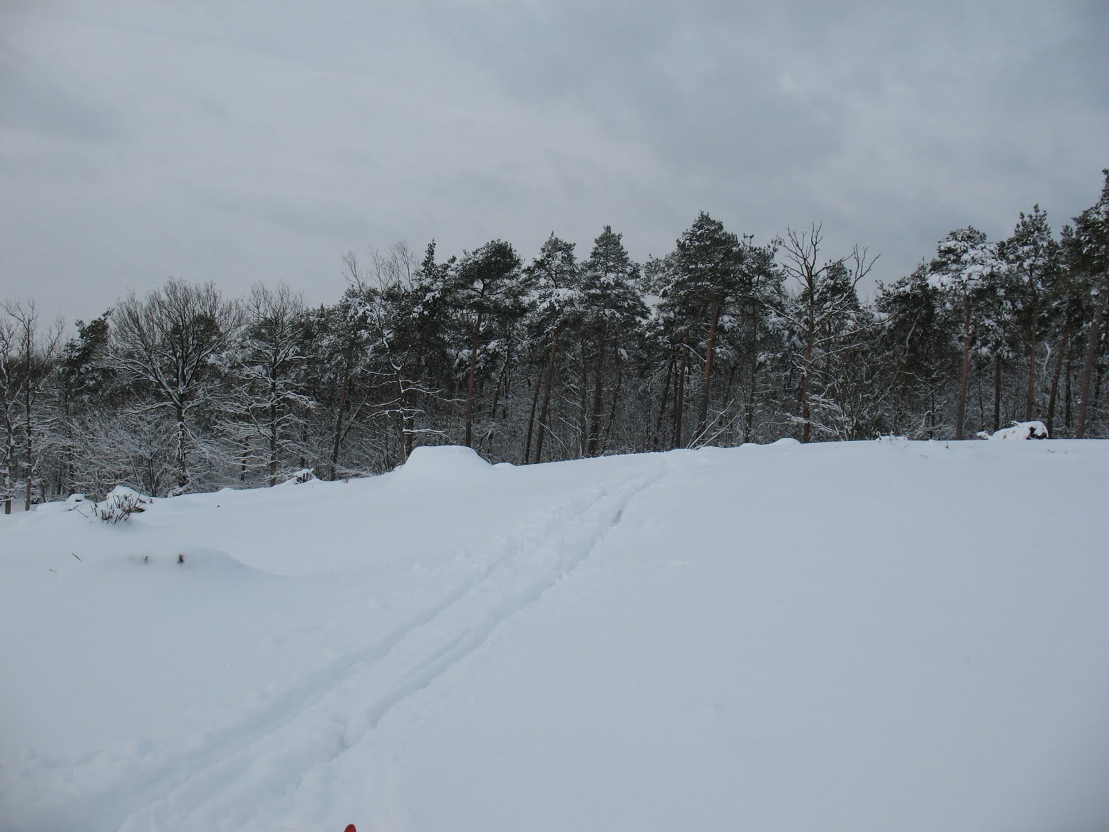 In the Dutch Mountains: Skiing in the Dutch Mountains