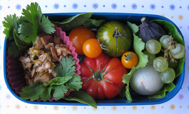 Sonoma Bento: Chicken and Rice Bento