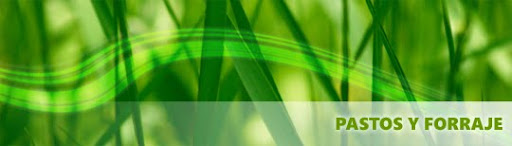 pastos y forrajes
