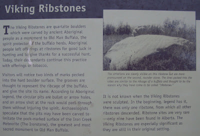 Heidi Nikolaisen: The Viking Ribstones