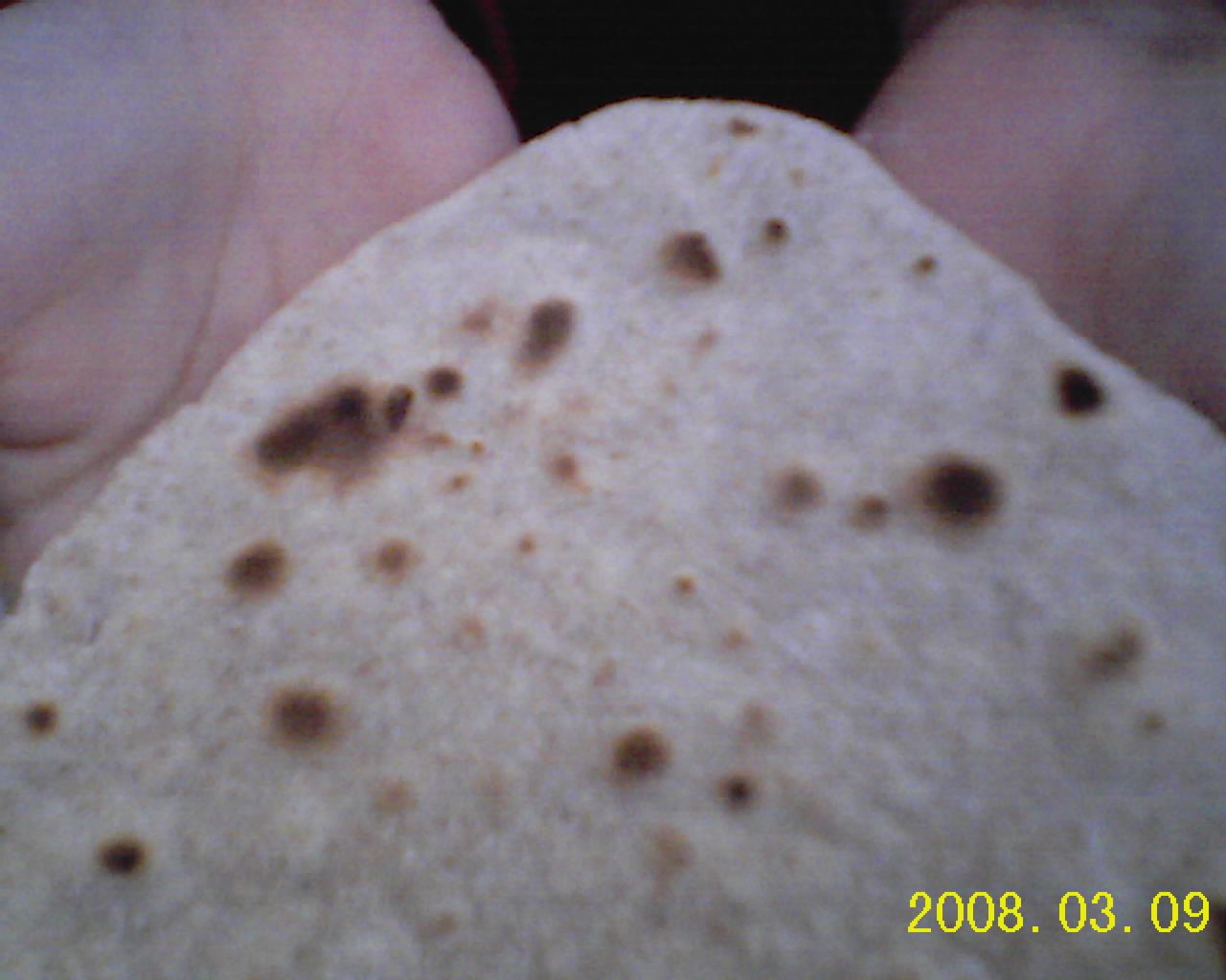 Food from all over the World: Roti or Chapati