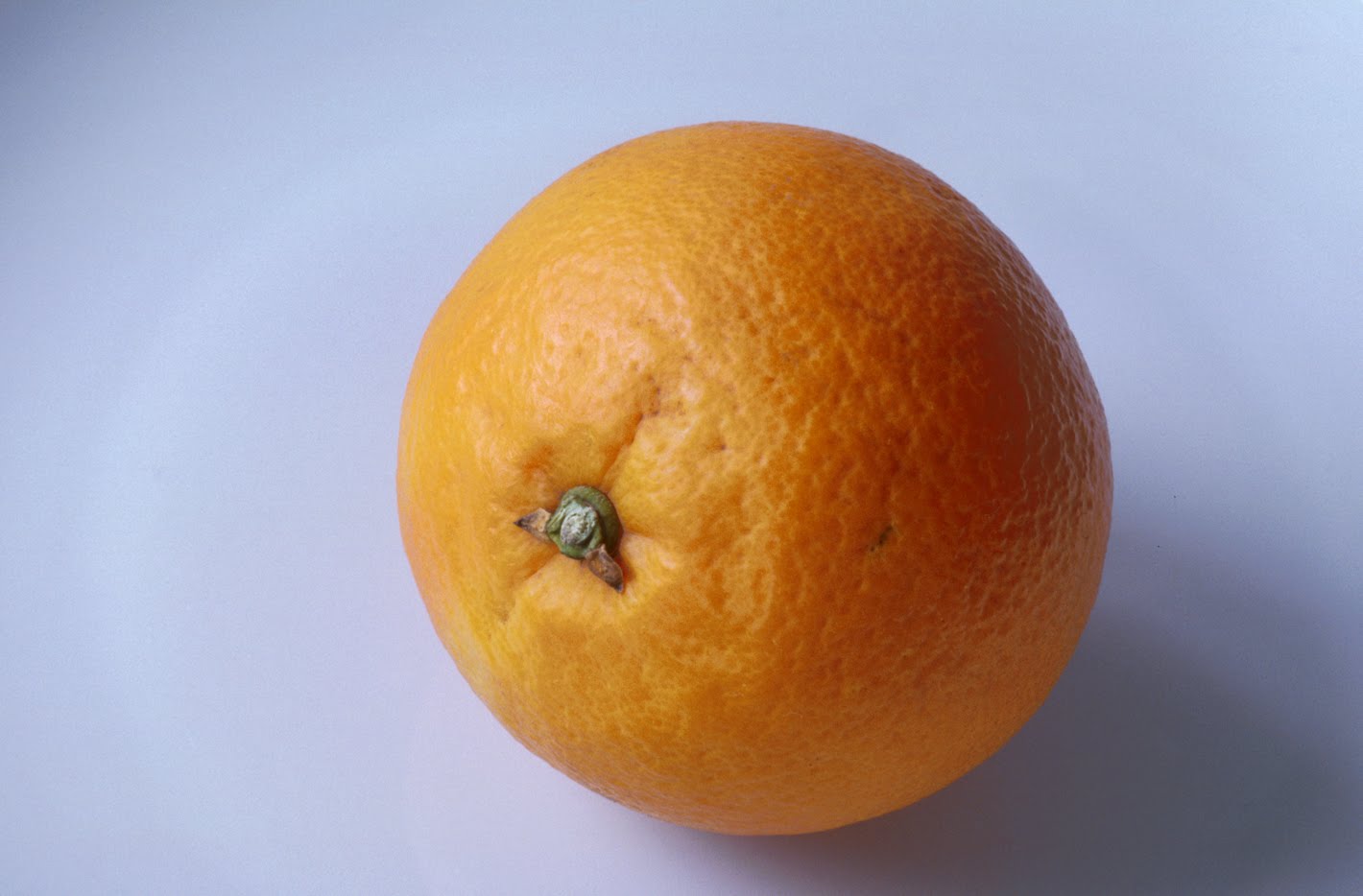 Food from all over the World: Whole sour Oranges