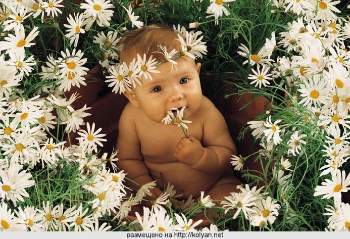 Niño tierno - Imagui