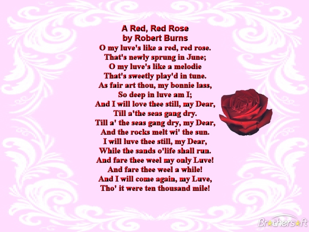 Nanditha's poems: Rose