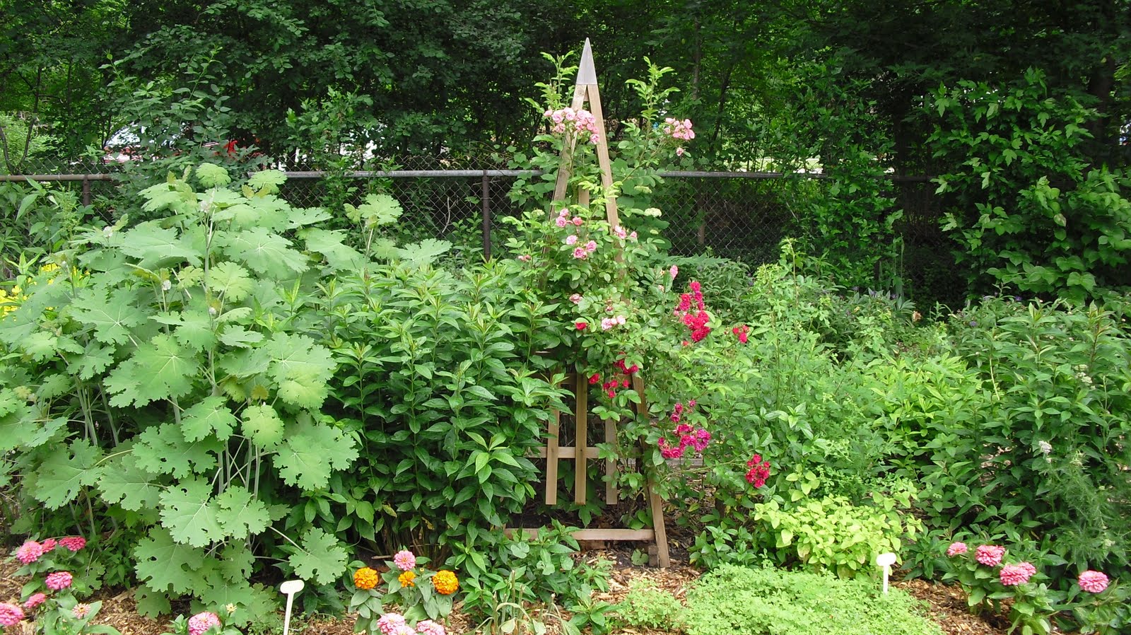 Garden of Lee: Hospice Gardens!