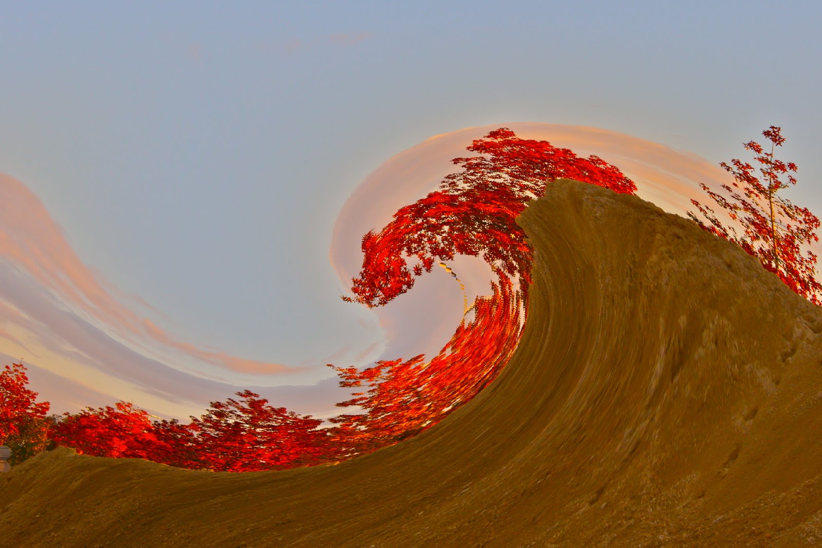 aluaflutua: novembro 2010