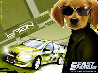 MacRox Animation: Project #25: Fast and Furious (dog version)