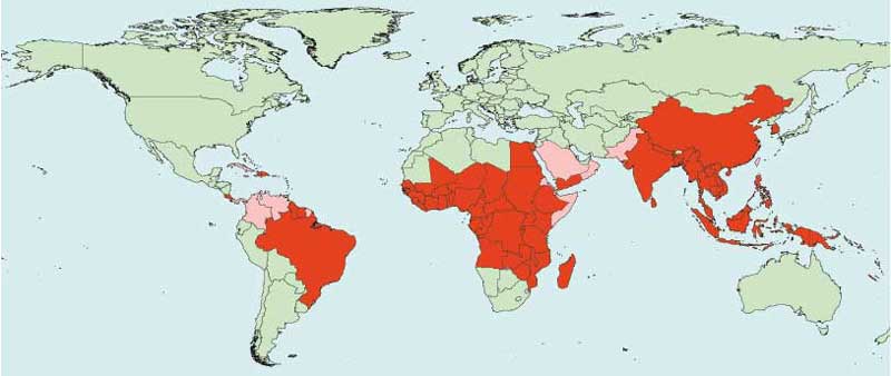 MPH 720 GLOBAL ISSUES IN ENVIRONMENTAL HEALTH: Wuchereria Bancrofti