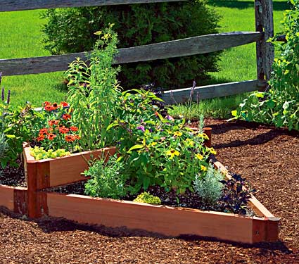 First A Dream: Raised Bed, No Till Gardens