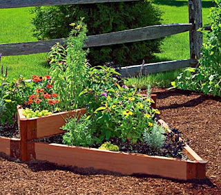 First A Dream: Raised Bed, No Till Gardens