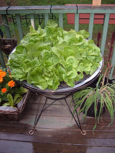 First A Dream: Salad Tables