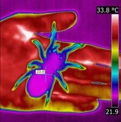 LA FÍSICA ESTA DENTRO DE TI: Ondas Infrarrojas