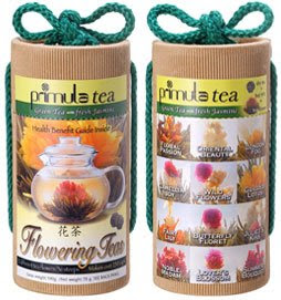 Primula Green Flowering Teas