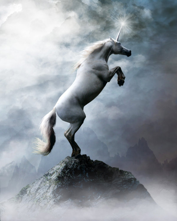 Frequência X: PYGAR ART - Imagem