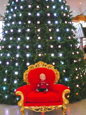 The Earwicker Africa Adventure