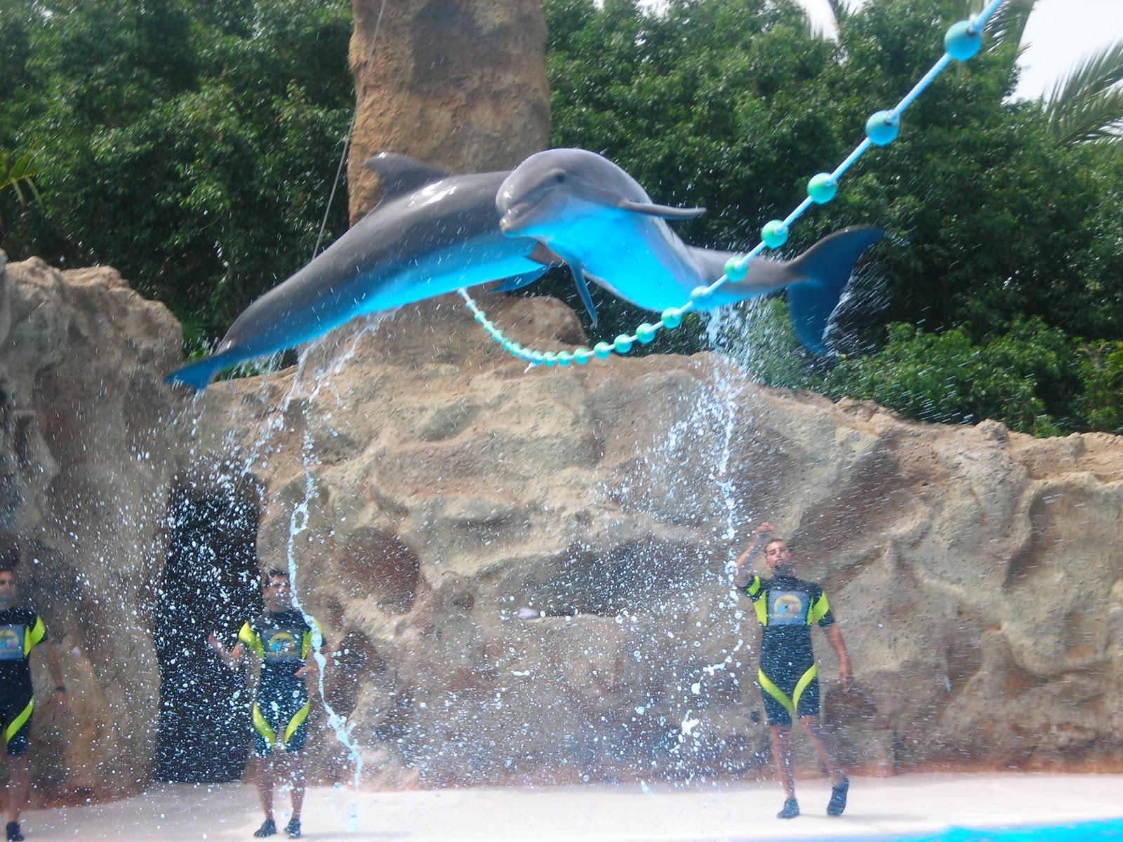 Tourism in the Canary Islands: LORO PARQUE