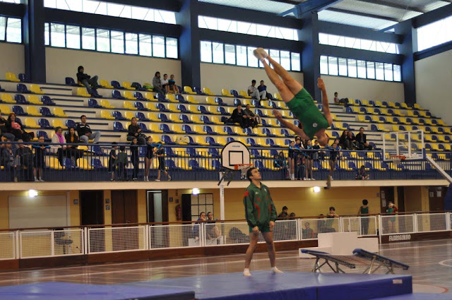 Educação Física ESMA: GINÁSTICA: Mini-Trampolim