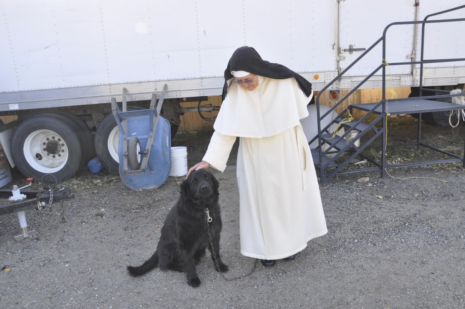 The Dog Reporter©: Nuns and Dogs