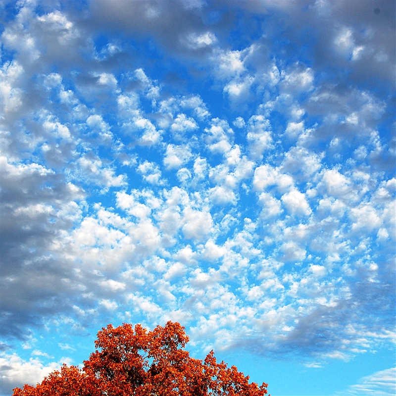 Capadia Designs: October's Bright Blue Weather