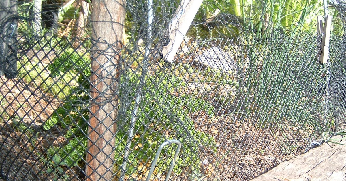 organic john the gardener: Snake Proof Netting