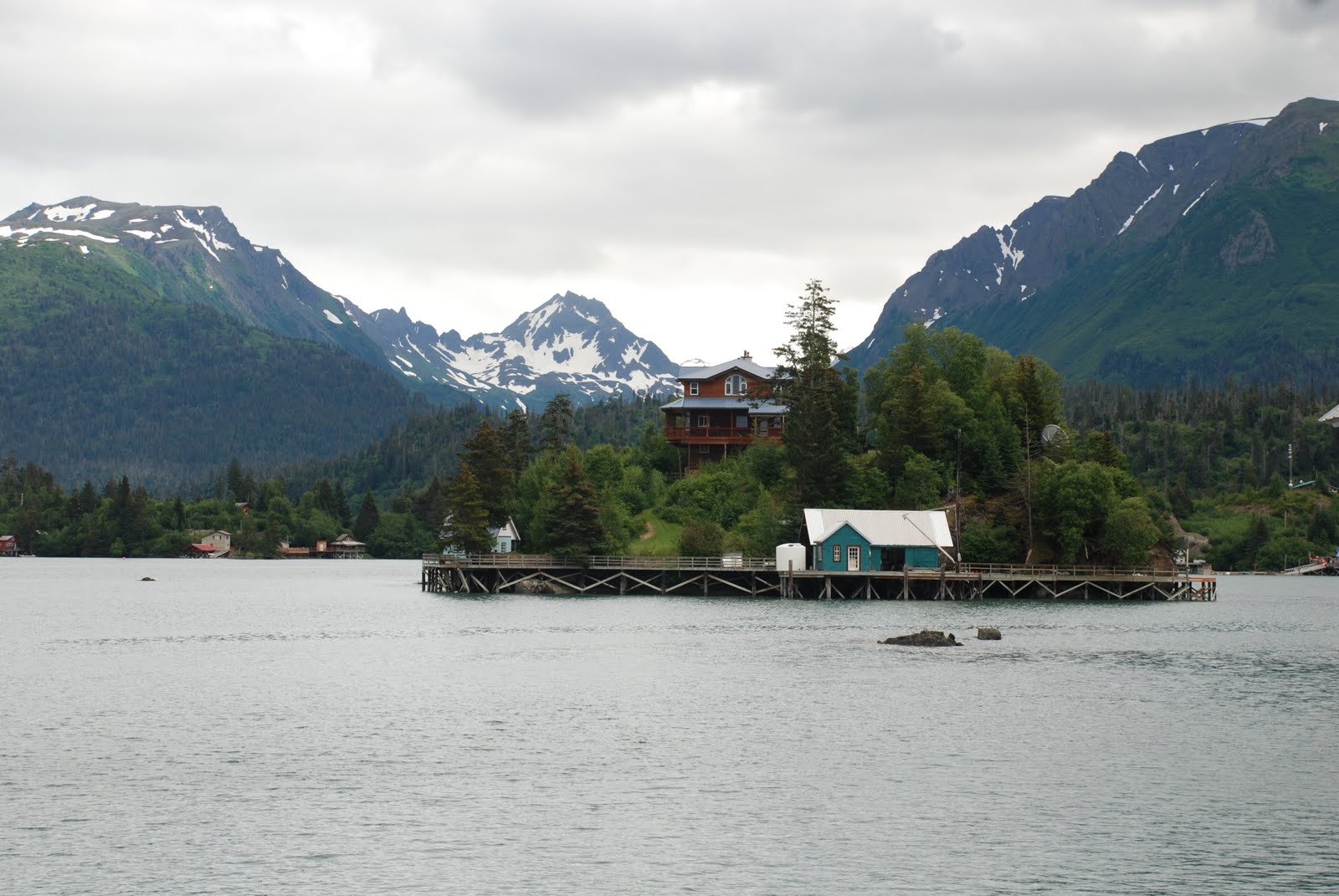 bach traveling time: Halibut Cove