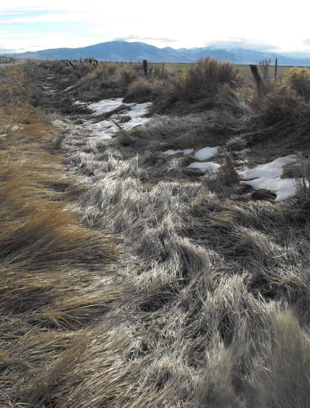 Sara&Grant: Sierra Valley & Beckwourth Pass