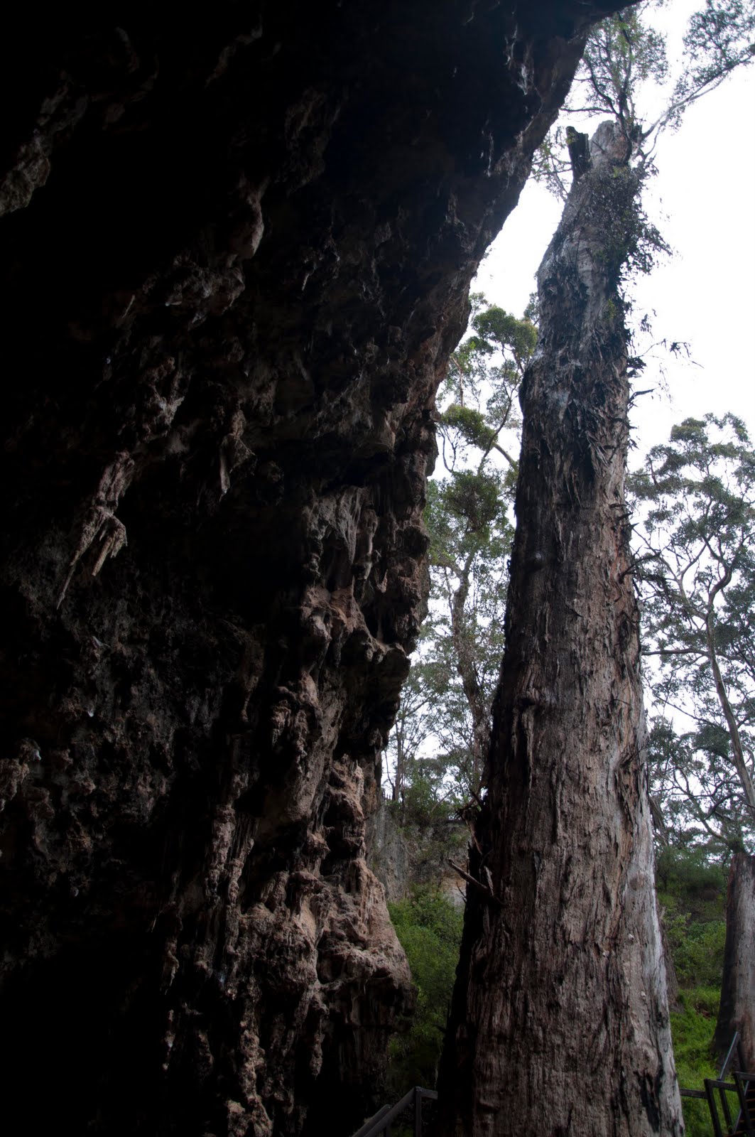 Over Down Under: Last Day in Augusta