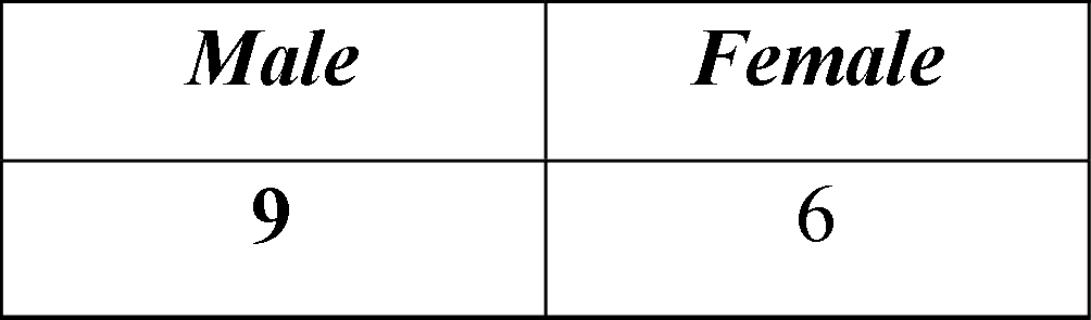 My AS Portfolio: Fedback