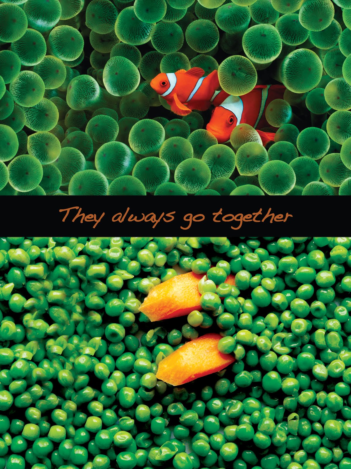 jessie chiang: Juxtaposition Posters