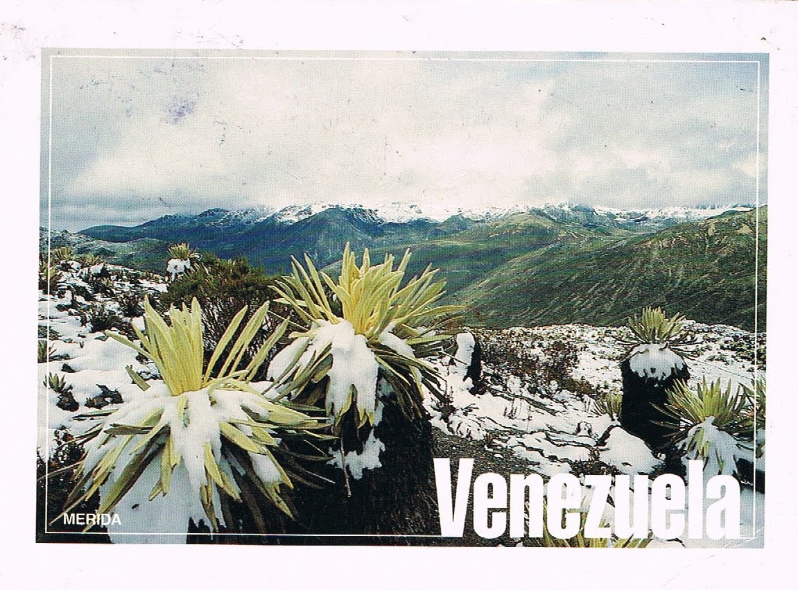Postcards in my mailbox: Postcard from Venezuela