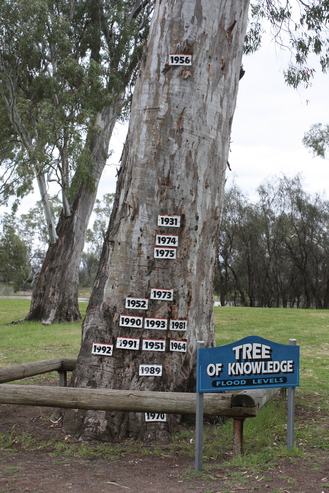 Laurel and Dale's Adventure: Parnka Point to Loxton Sunday 17th October ...