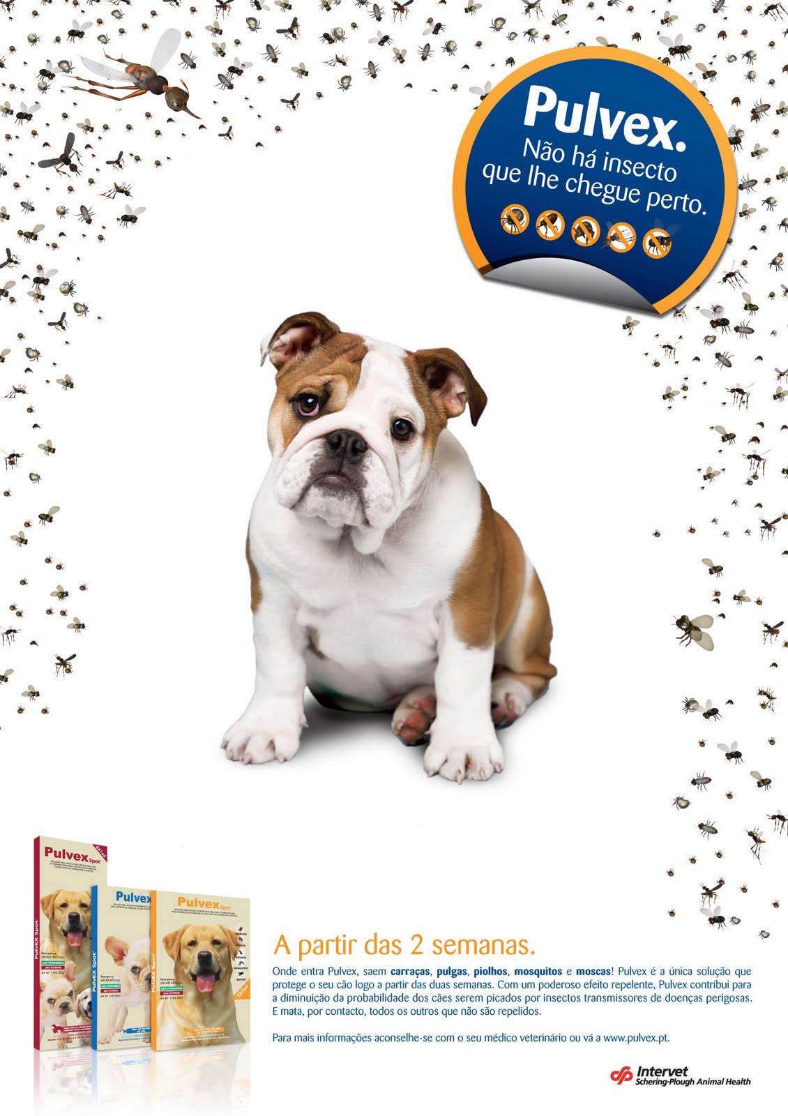 Intervet - Pulvex