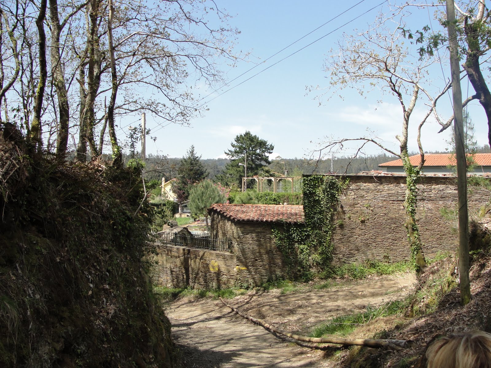 Dave and Judy on the Camino: Melide to Arzua Day 7 of the Camino